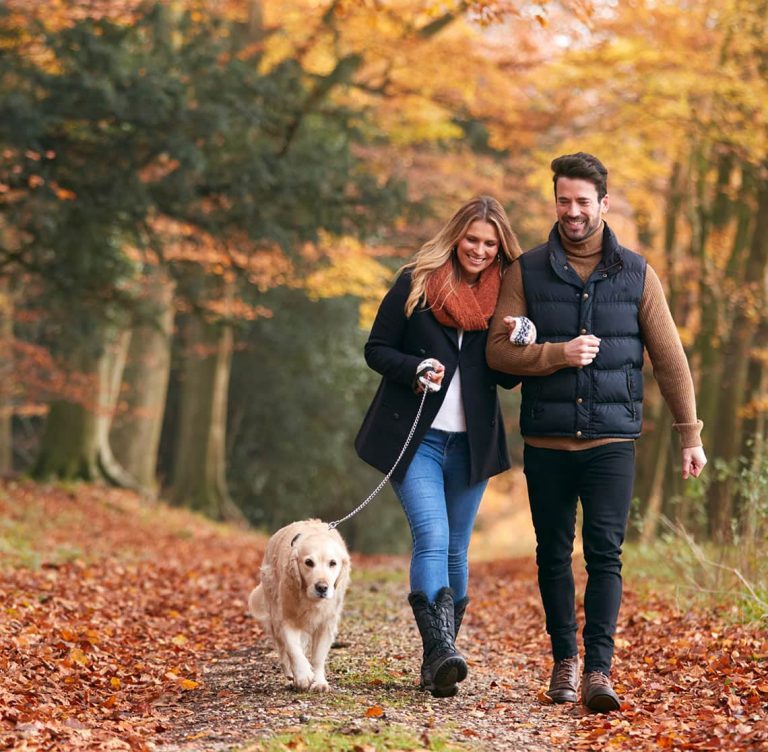 Dog Friendly Amish Country Hotel | Furry Friends Are Welcome