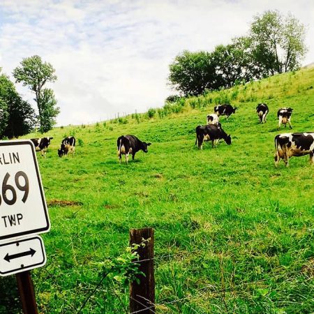 Weekend Getaway in Ohio | Check Out Our Property Photos